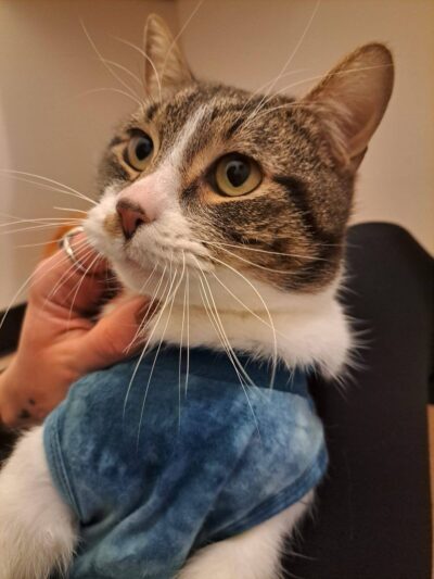 Ninx **Rehomed**